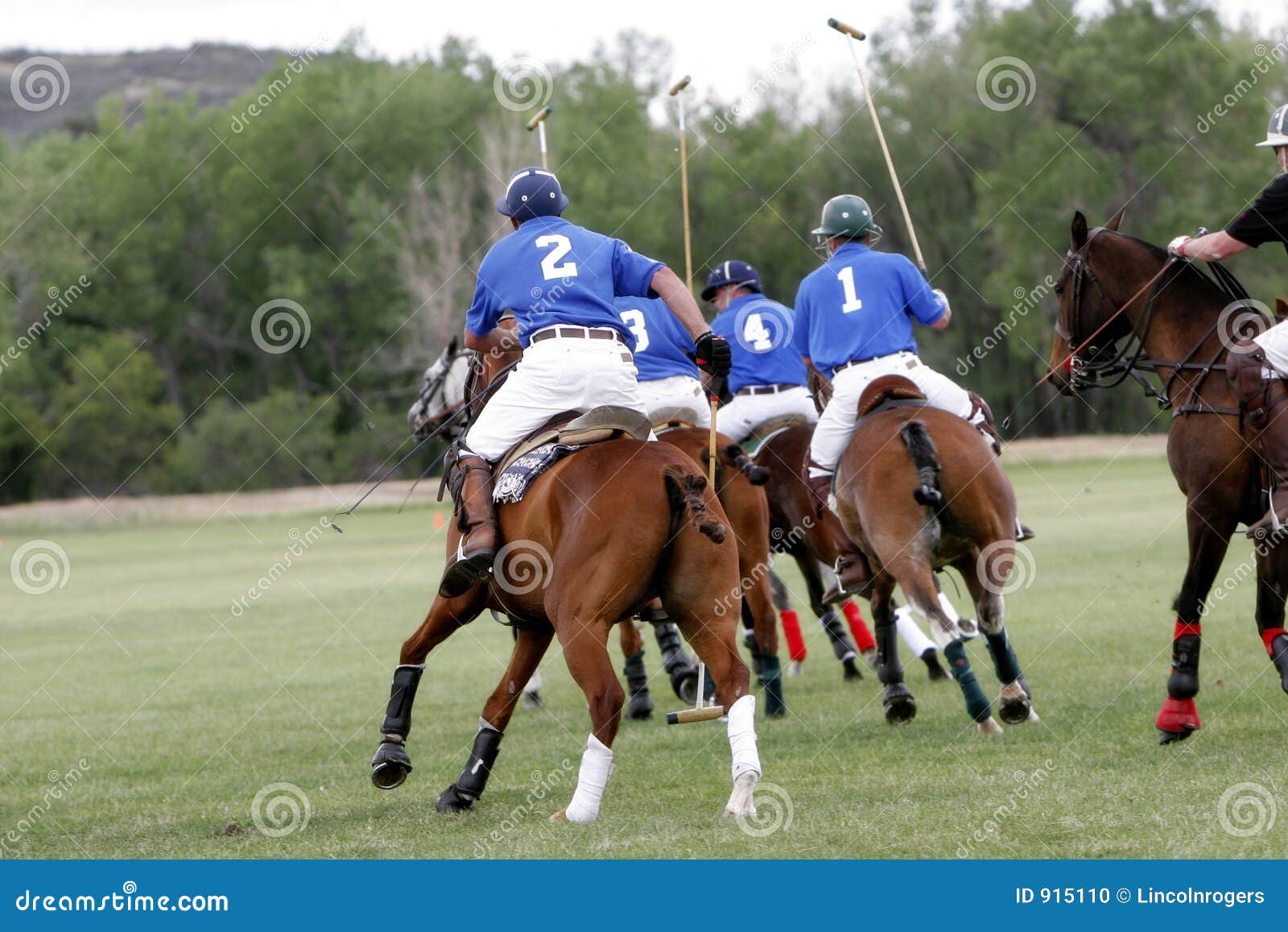 Polo Team Chasing stock photo. Image of gallop, chasing - 915110