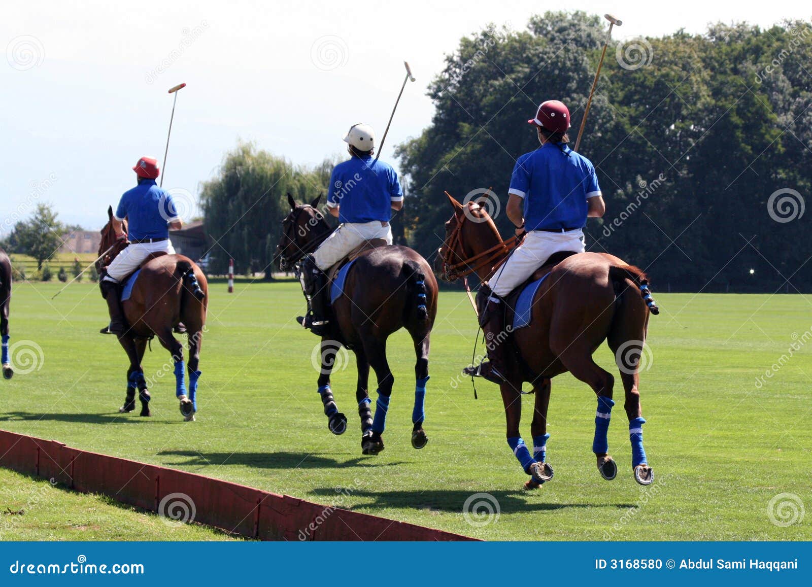 Team Trots Stock Photos - Free & Royalty-Free Stock Photos from Dreamstime