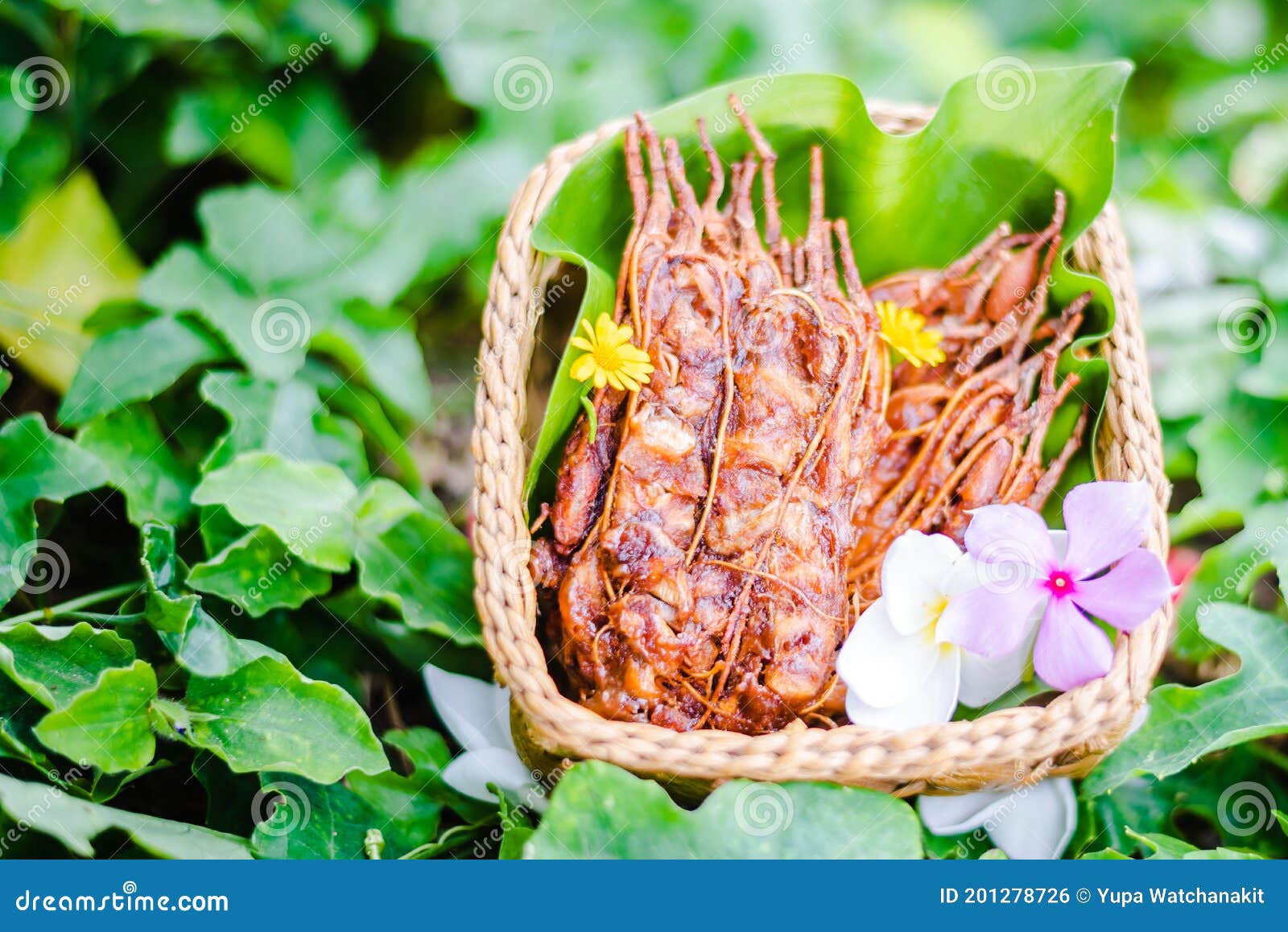 Polpa De Samarro Tomada No Cesto Foto de Stock - Imagem de cesta, dieta ...