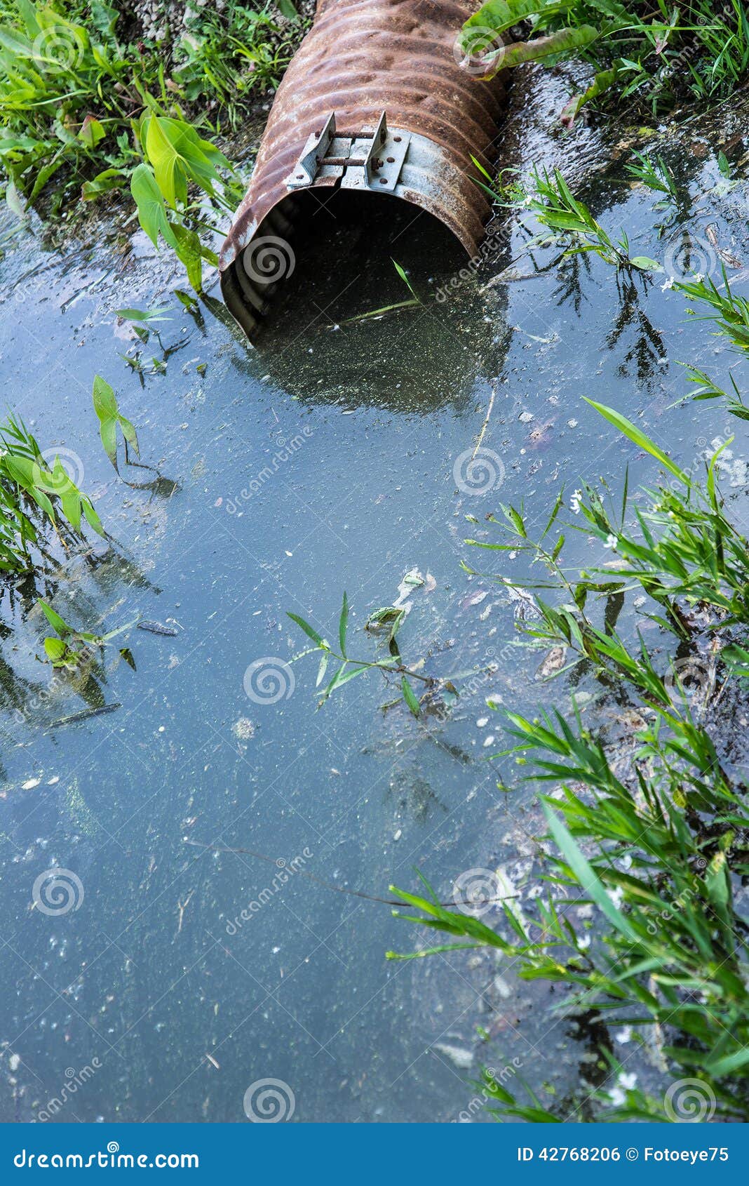 Polution in a lake stock photo. Image of ocean, concepts - 42768206