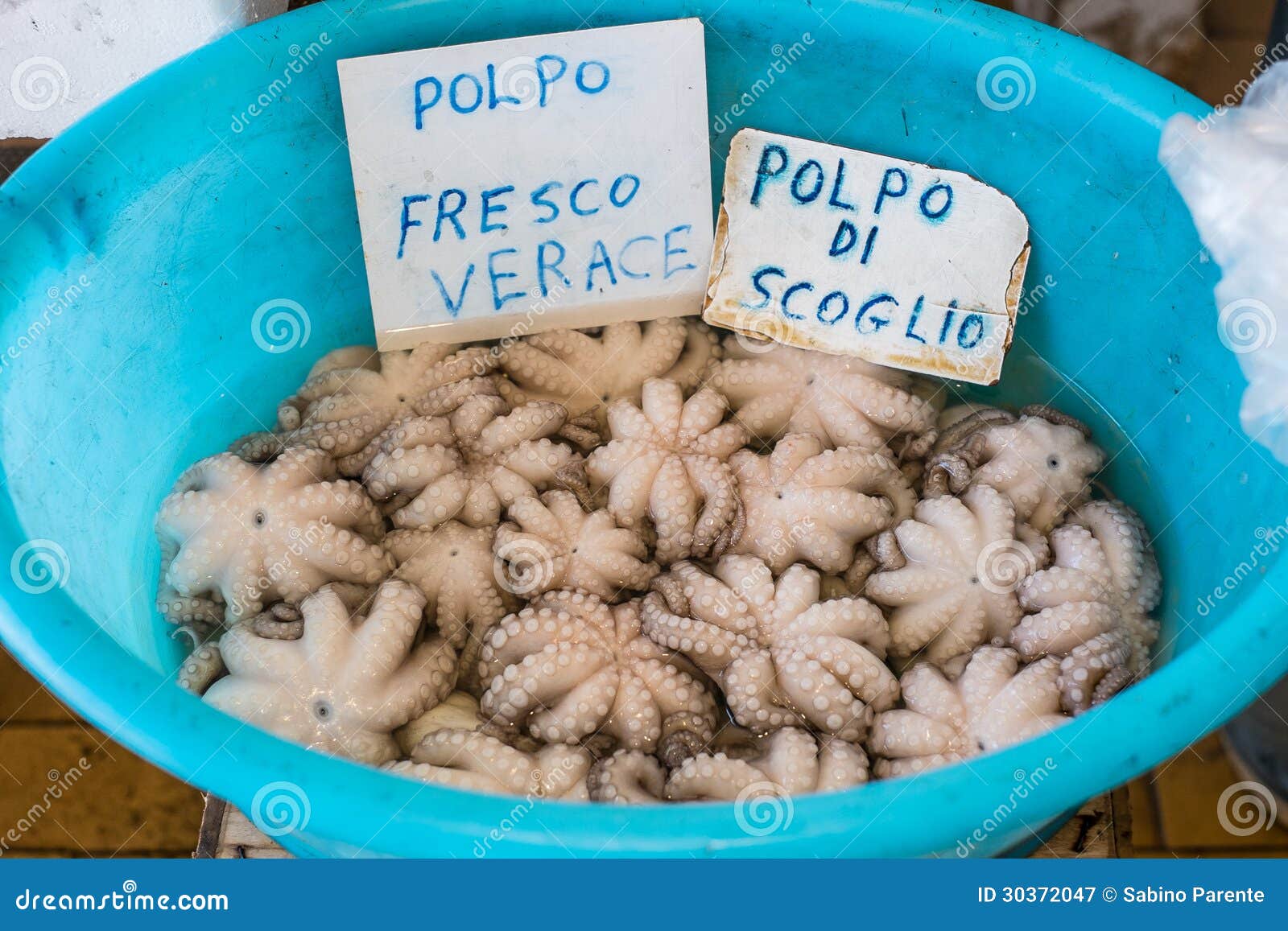 Polvo fresco imagem de stock. Imagem de polvo, mercado - 30372047