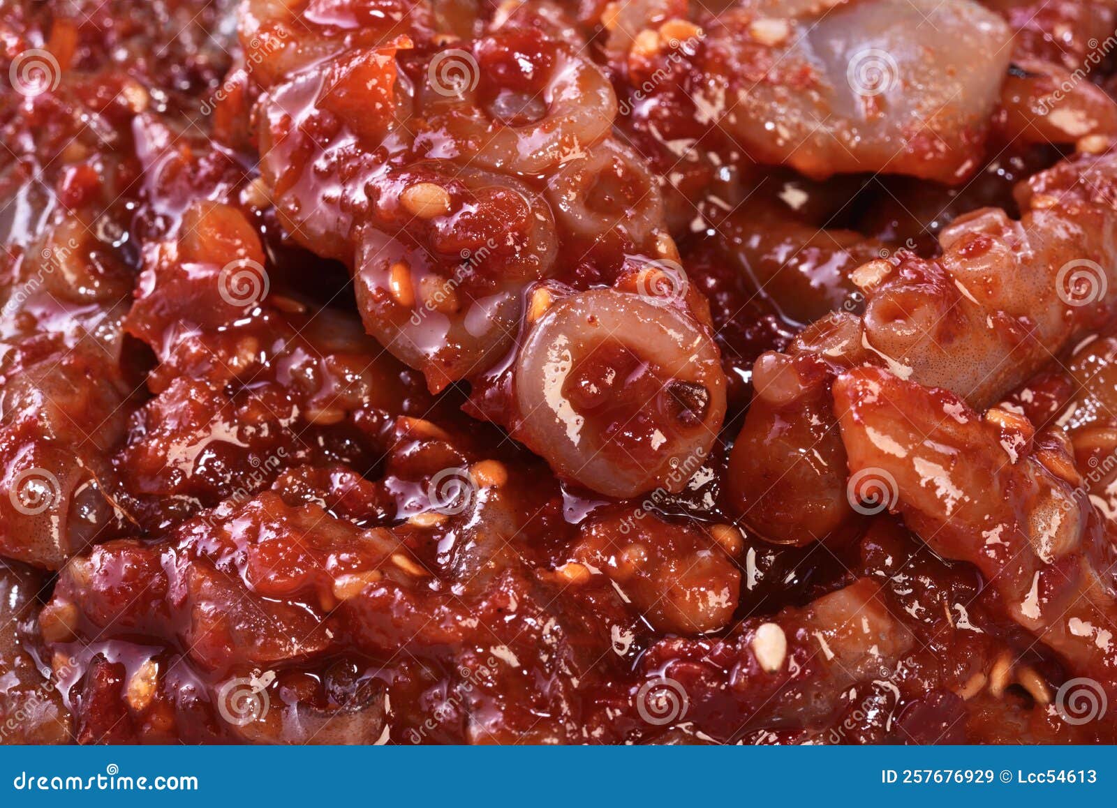 Polvo salgado coreano imagem de stock. Imagem de coma - 257676929