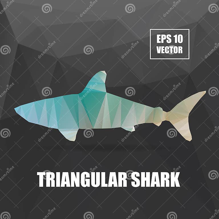 Poly Design. Shark Triangular Illustration. Shark Stock Vector ...