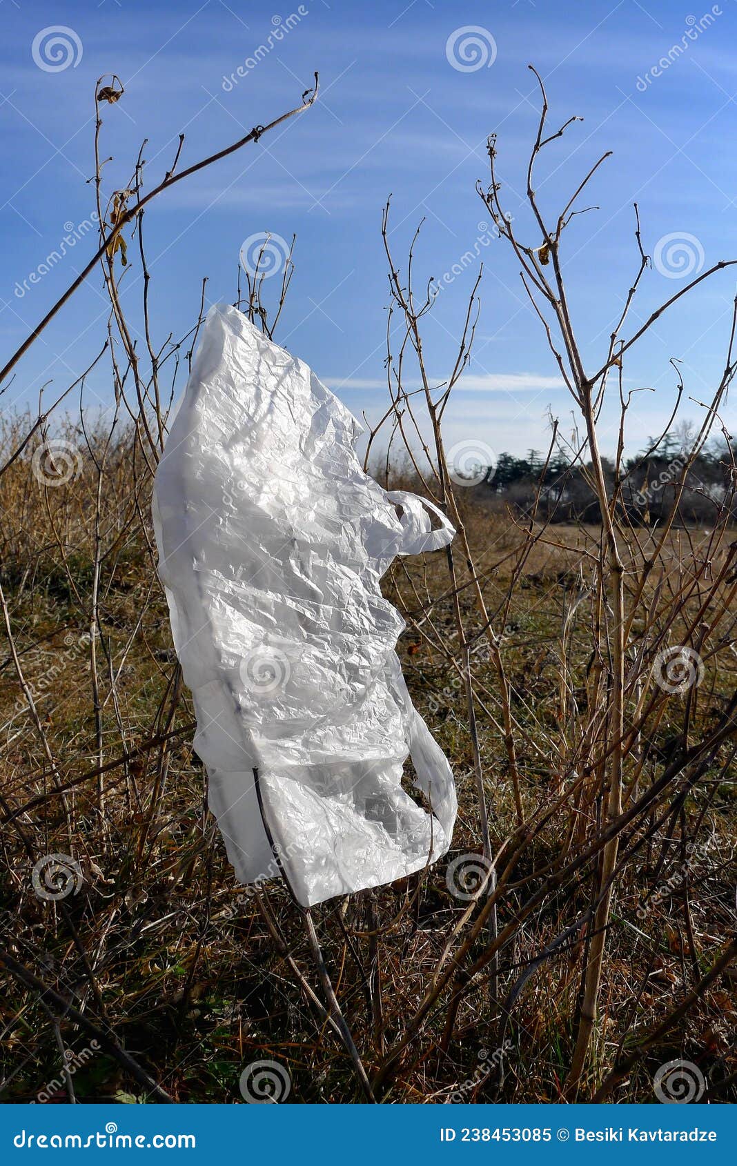 Polluted Area with Polyethylene Pack Stock Image - Image of plant ...
