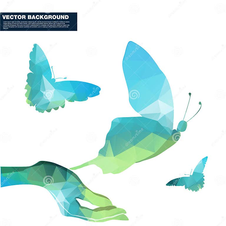 Polygon Butterfly and Hand Concept. Stock Vector - Illustration of ...