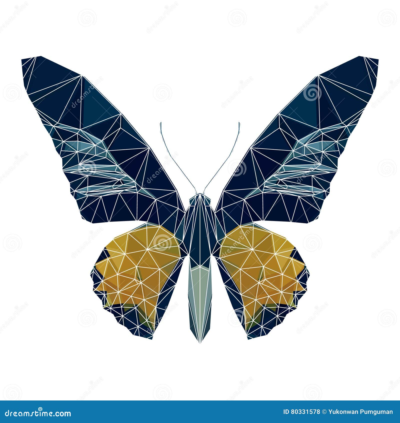 Polygon Butterfly with White Line, Poly Low Animal, Polygonal Stock ...