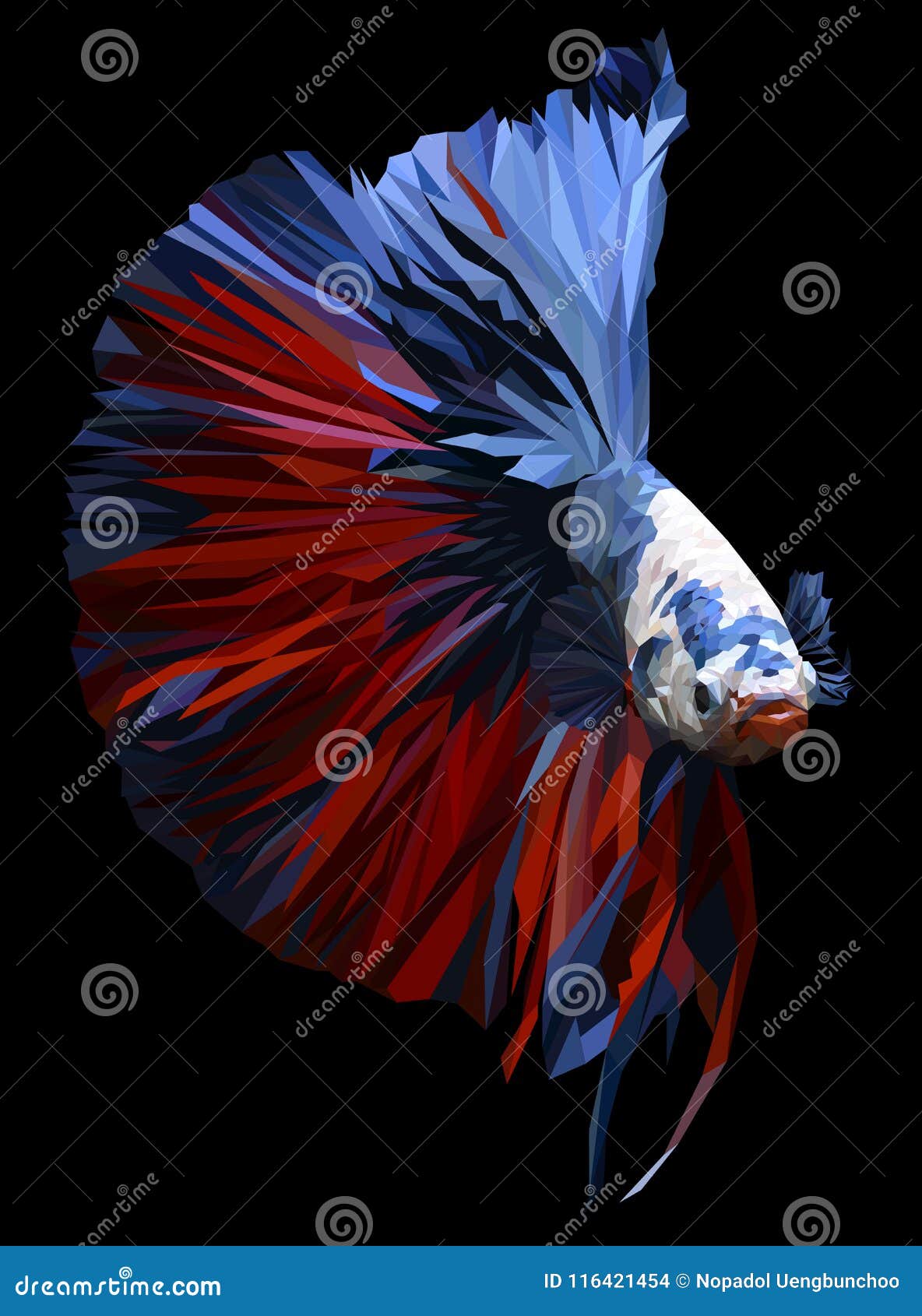Polygon Drawing Of Siamese Fighting Fish Stock Image | CartoonDealer ...