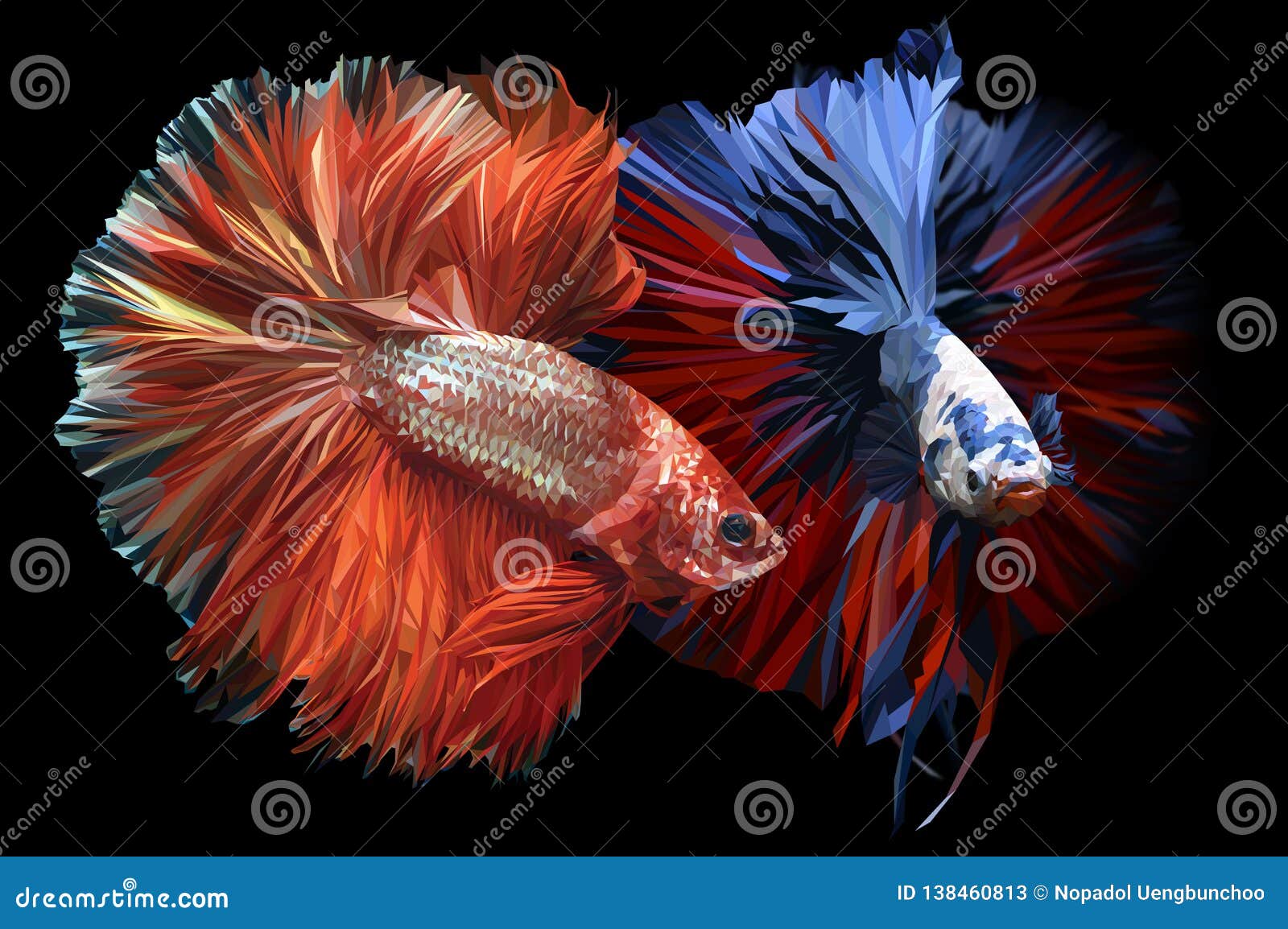 Polygon Drawing of Siamese Fighting Fish Stock Illustration ...