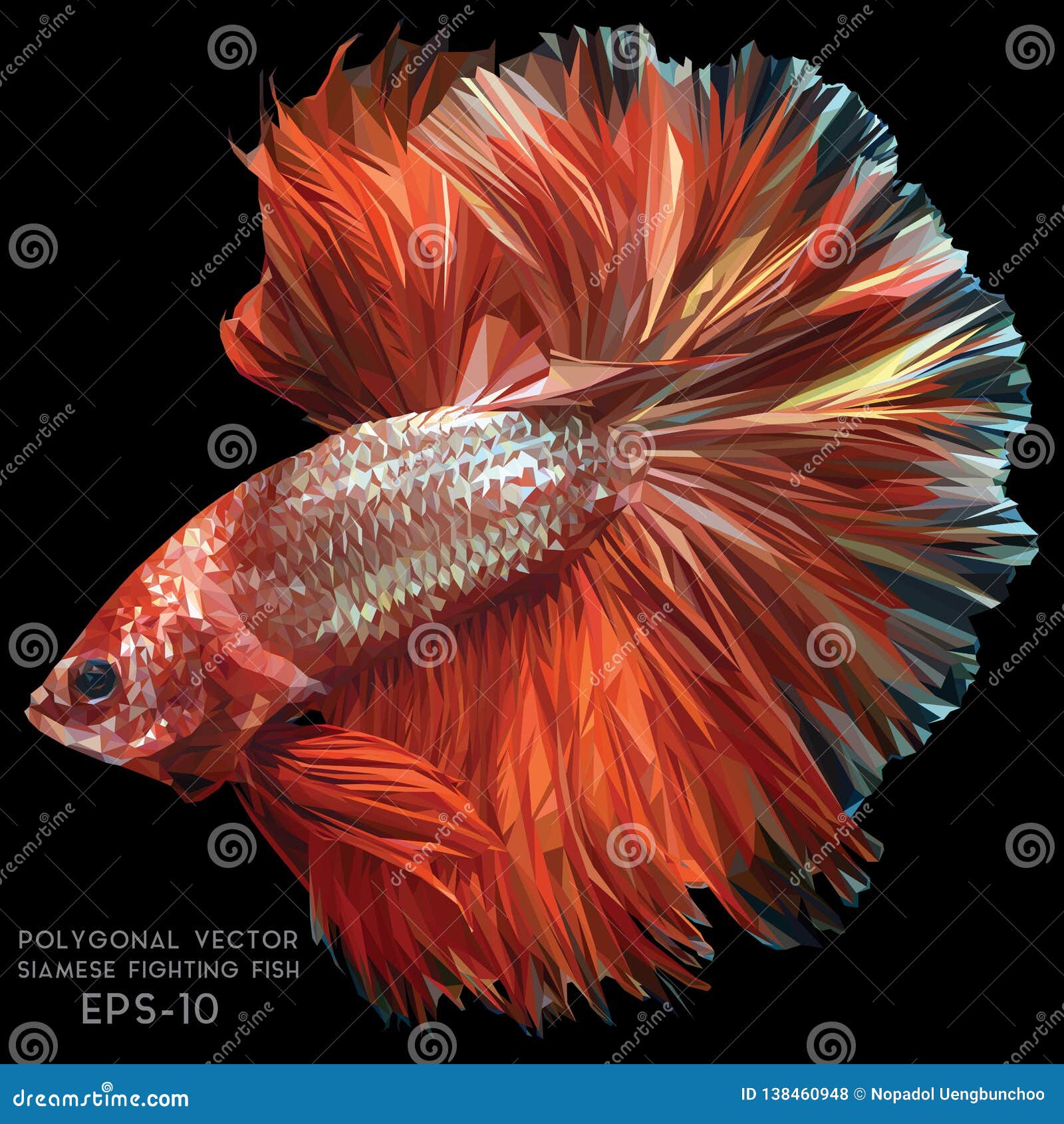 Polygon Drawing of Siamese Fighting Fish Stock Illustration ...