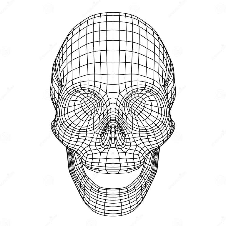 Wireframe Human Skull with Open Jaw, Front View Stock Vector ...