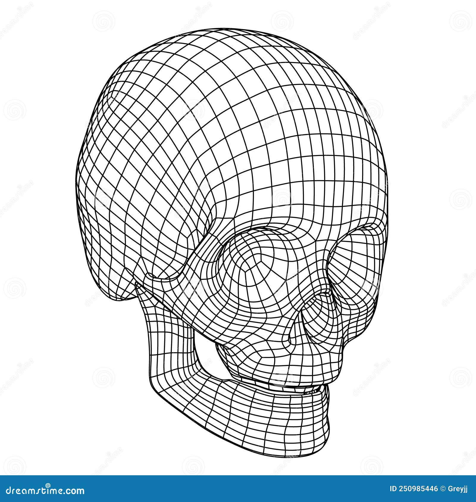 Polygon Mesh or Wireframe Skull Stock Vector - Illustration of ...