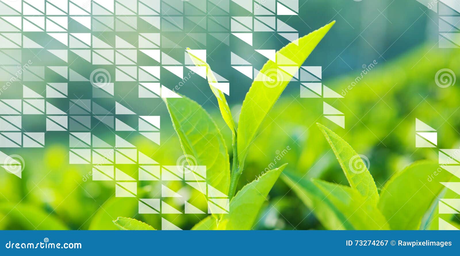 Polygon Shape Mosaic Design Abstract Transparent Concept Stock Image ...