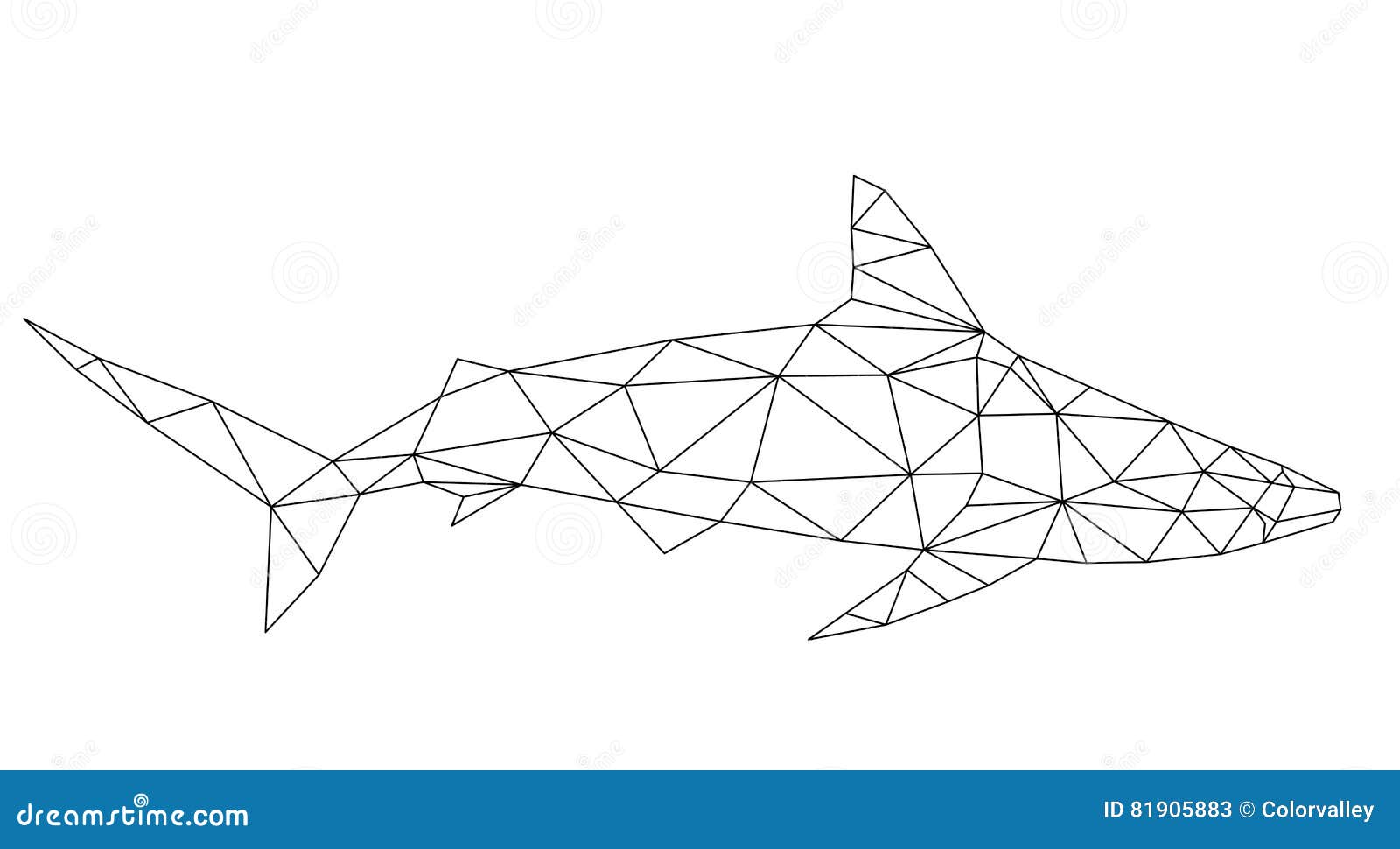Polygon shark, vector stock vector. Illustration of abstract - 81905883