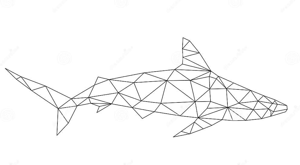 Polygon shark, vector stock vector. Illustration of abstract - 81905883