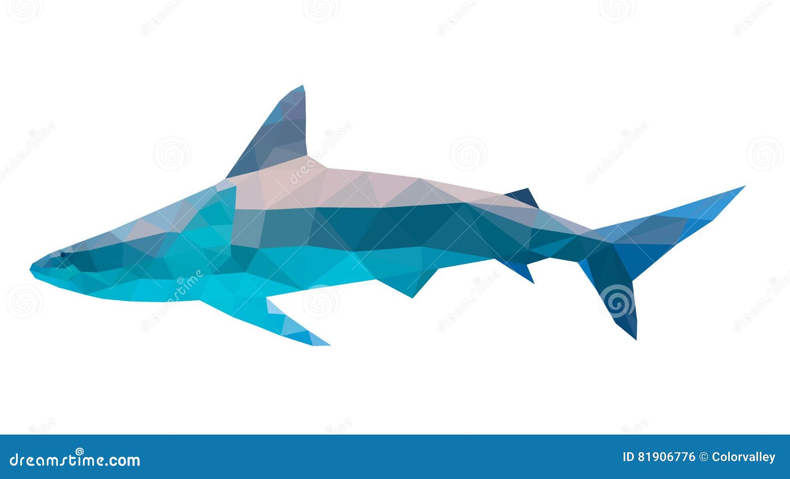 Polygon shark, vector stock vector. Illustration of predator - 81906776