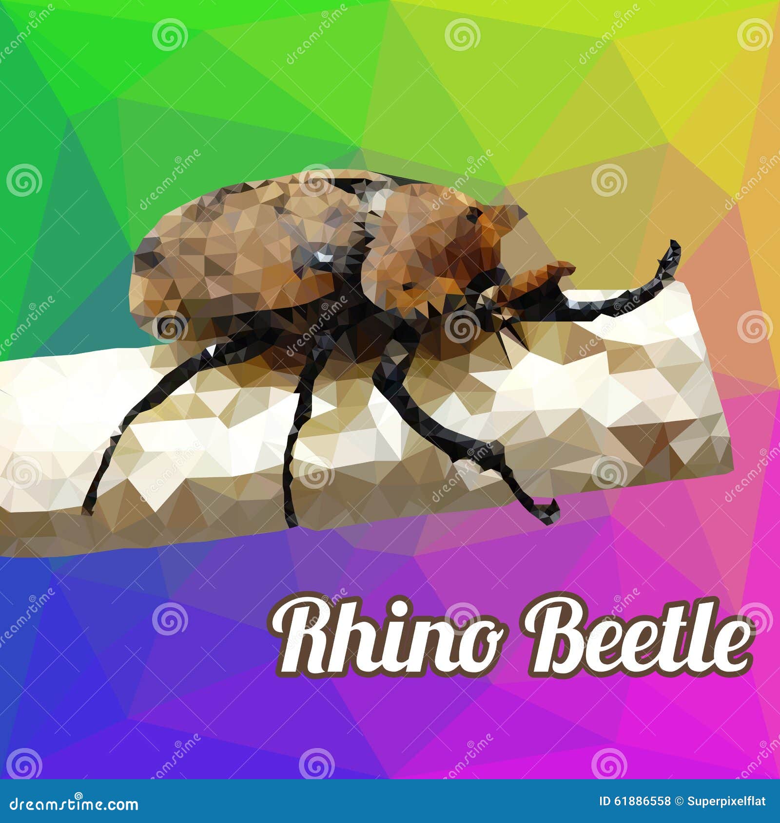 Polygon Vector Rhino Beetle Stock Vector - Illustration of biology ...
