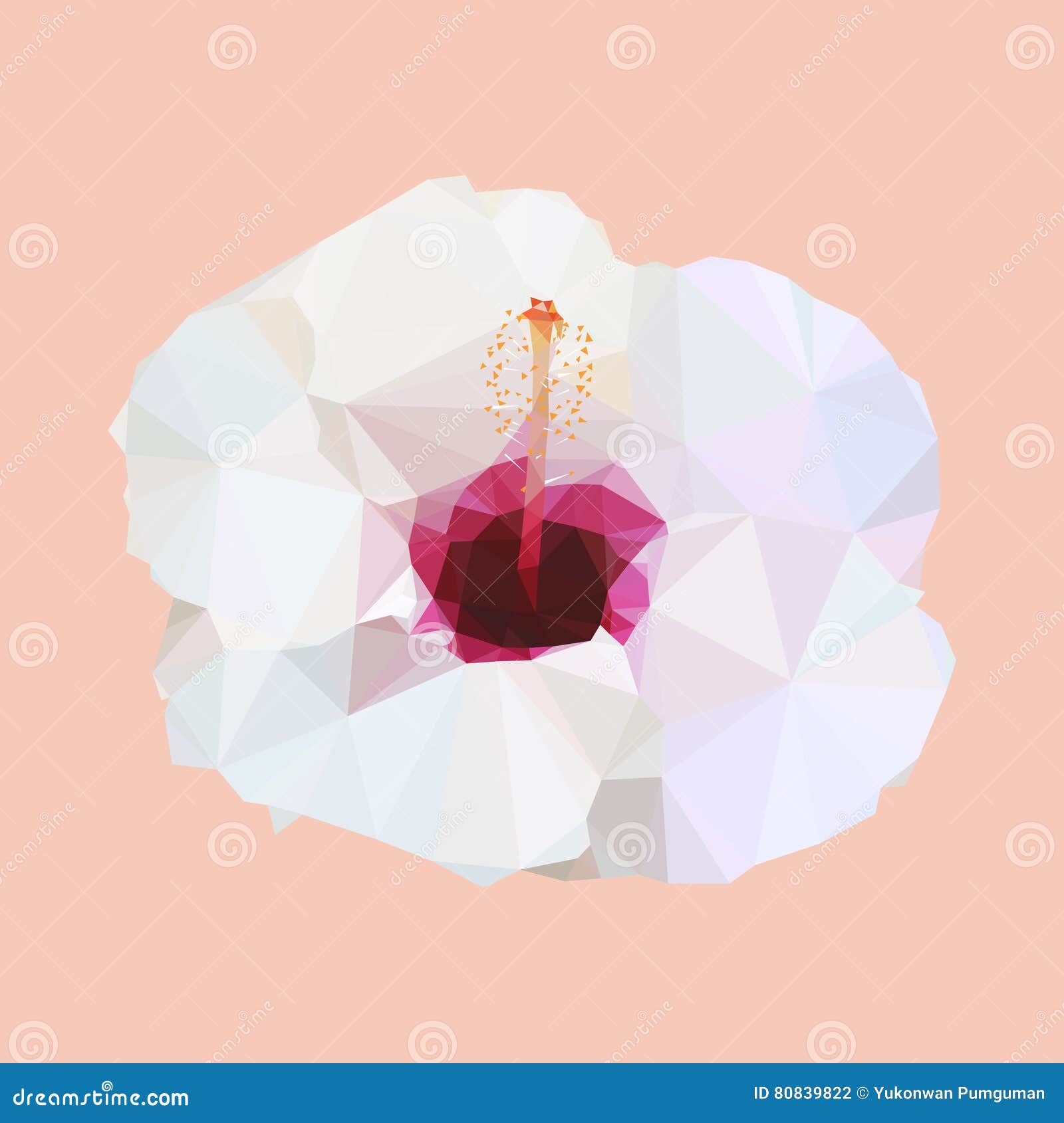 Polygon White Hibiscus. Poly Low Geometric Triangle Flower Stock Vector ...