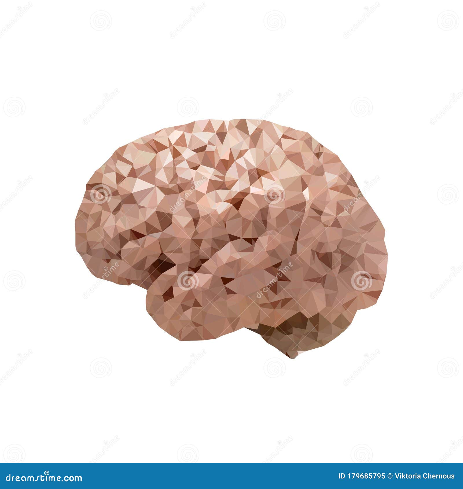 Polygonal Brain Illustration Stock Illustration - Illustration of mind ...