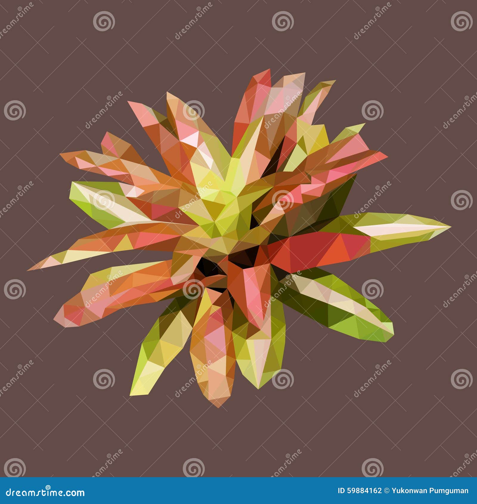 Polygonal Bromeliad, Polygon Flowering Plant, Vector Stock Vector ...