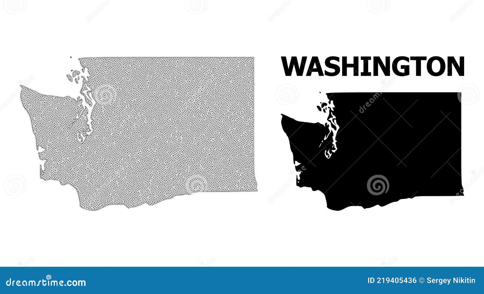 Polygonal 2D Mesh High Detail Vector Map of Washington State ...
