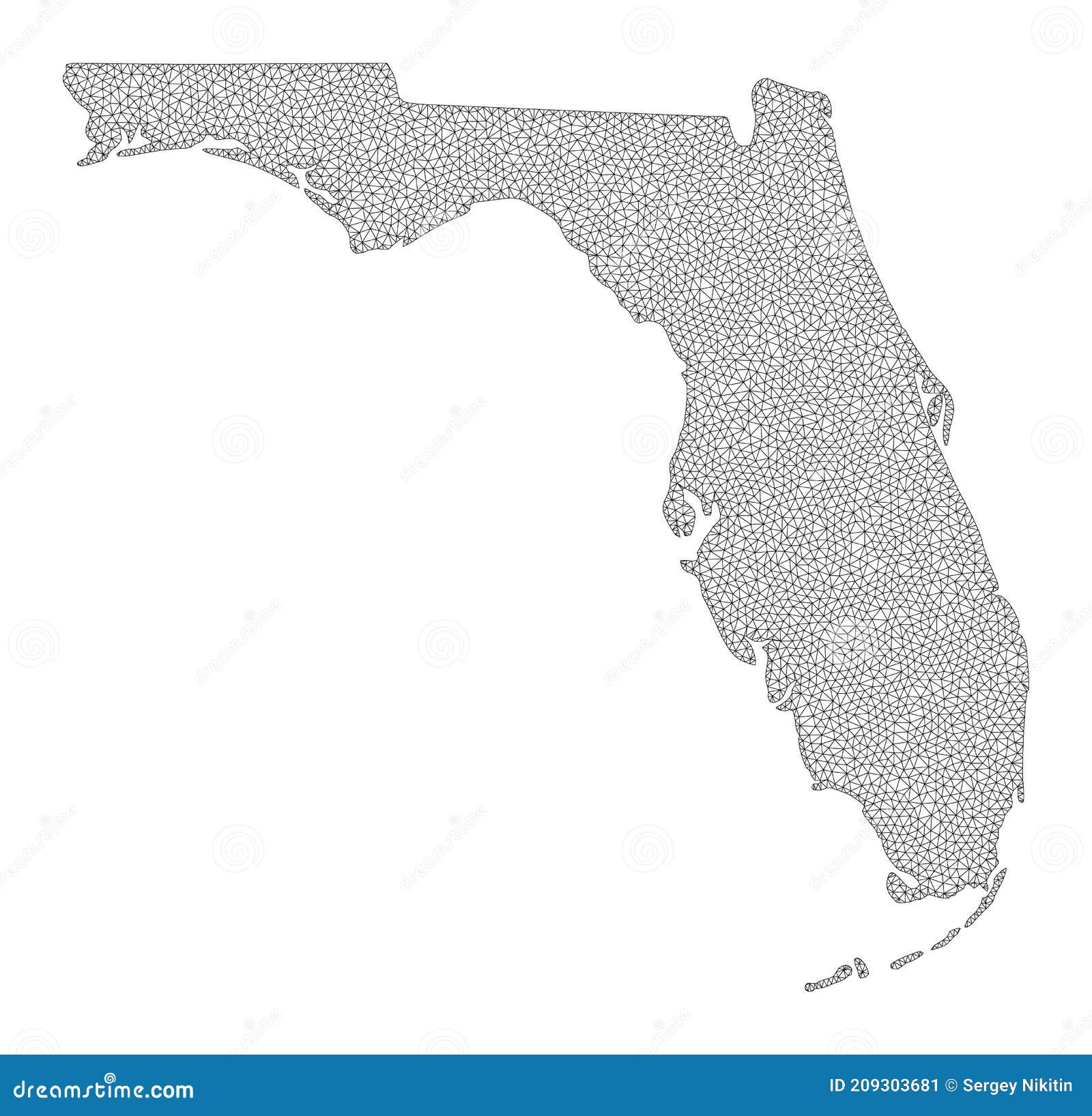 Polygonal 2D Mesh High Resolution Raster Map of Florida State ...