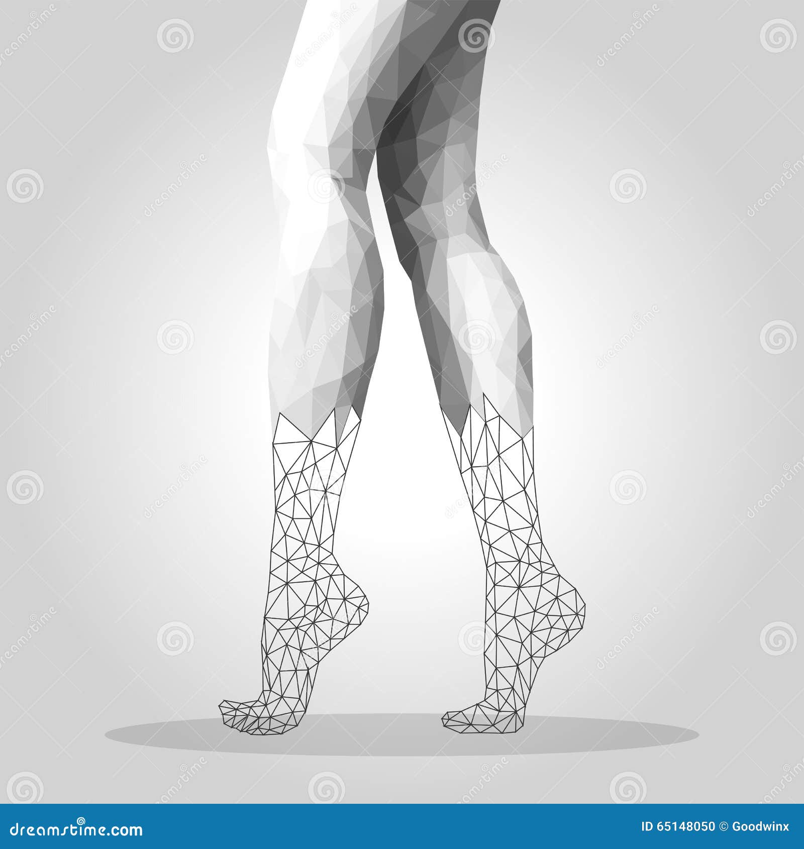 Polygonal Female Legs Standing On Tiptoes Golden Mesh Wire Prosthetics ...