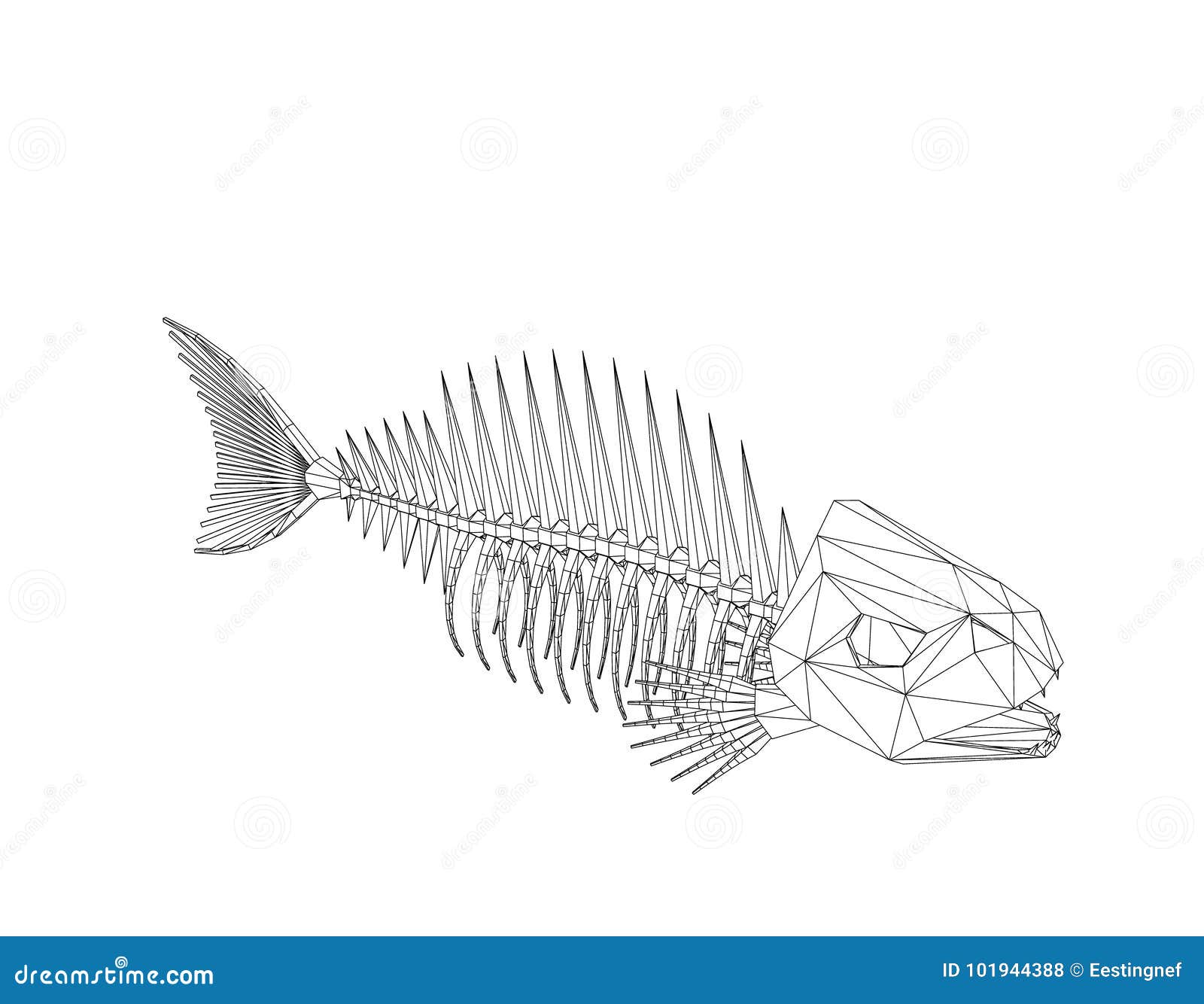 Polygonal Fish Skeleton. Isolated on White Background. Vector Outline ...