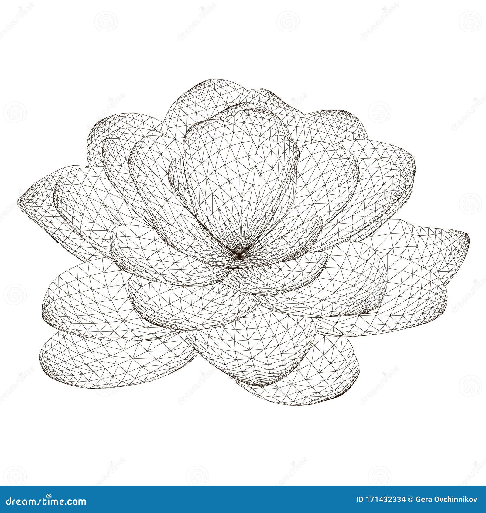 Polygonal Flower Wireframe Isolated on White Background. View Isometric ...
