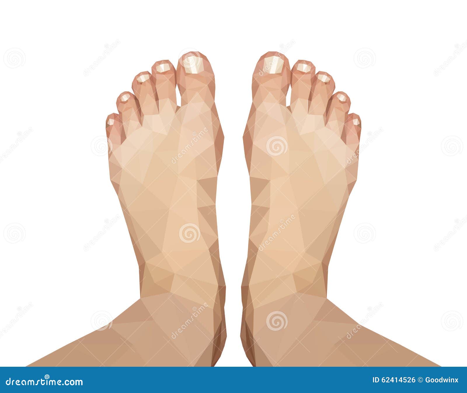Polygonal Foot Captured Above on White Background Stock Vector ...