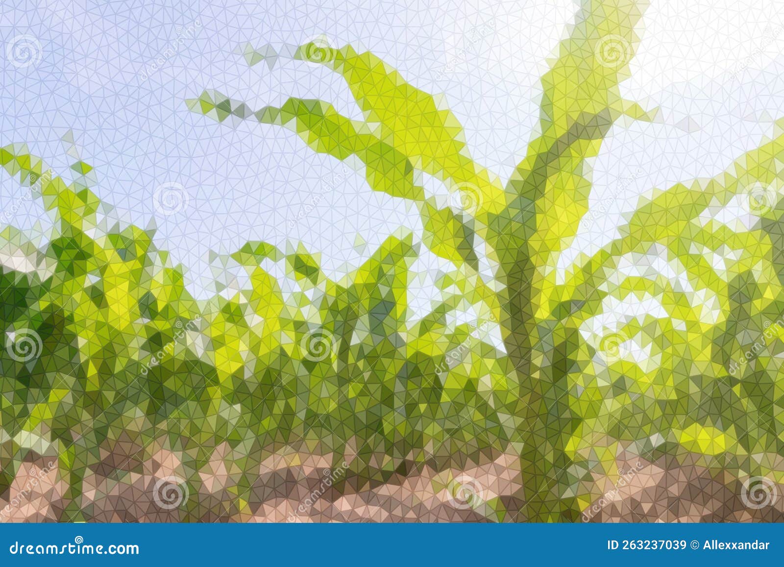 Corn Growing Stages Vector Illustration In Flat Design. Planting ...