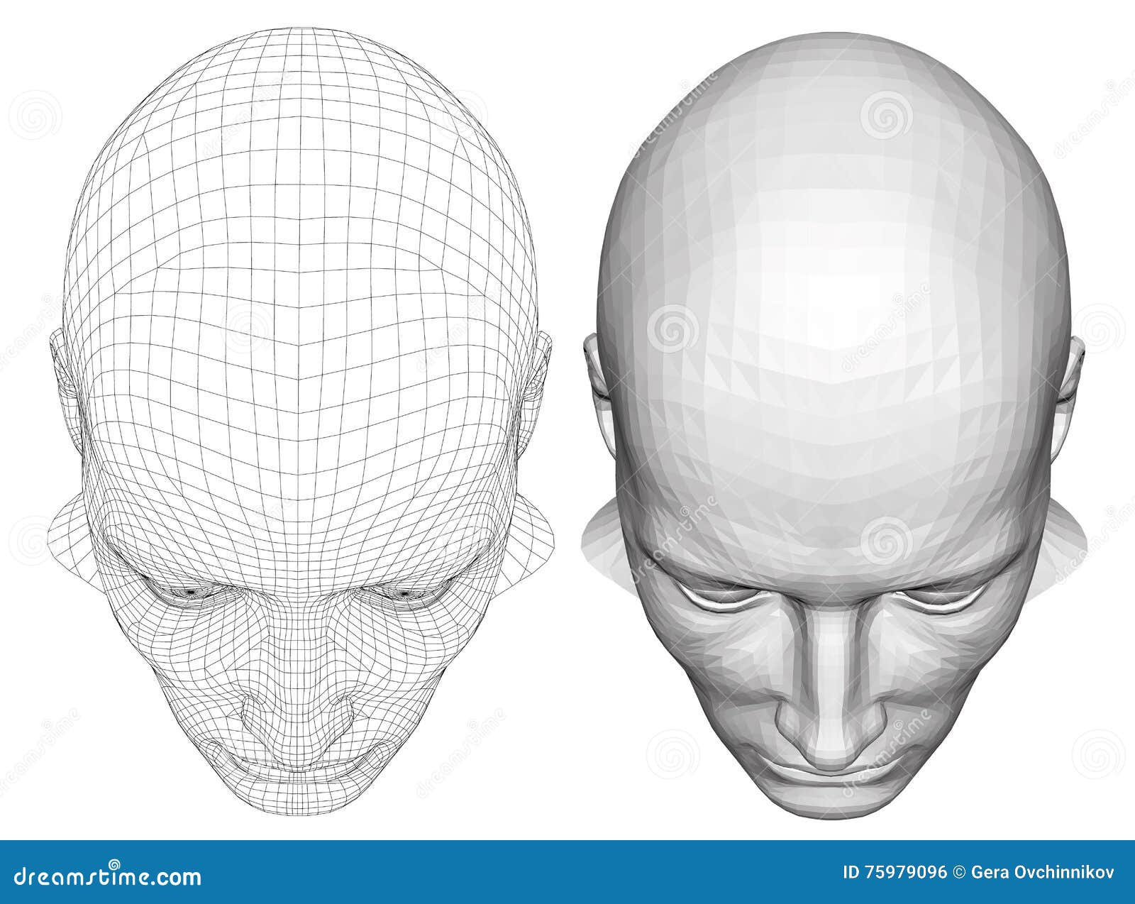 Polygonal head stock vector. Illustration of human, outline - 75979096