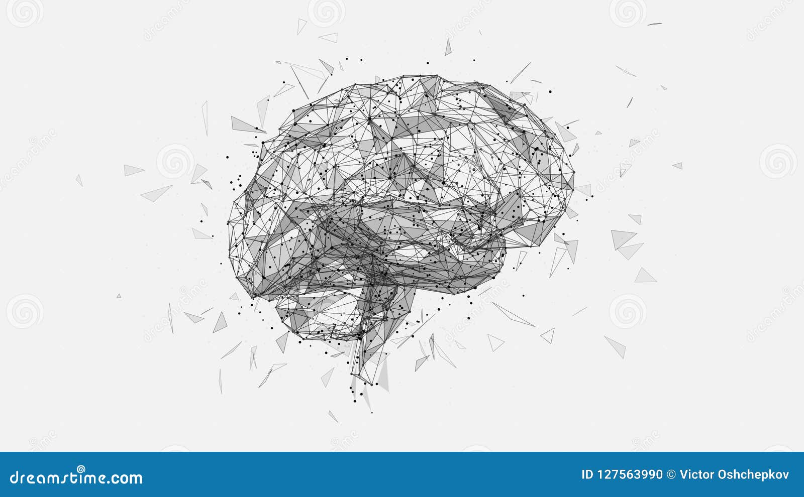 Polygonal Human Brain Illustration on White Background Stock Vector ...
