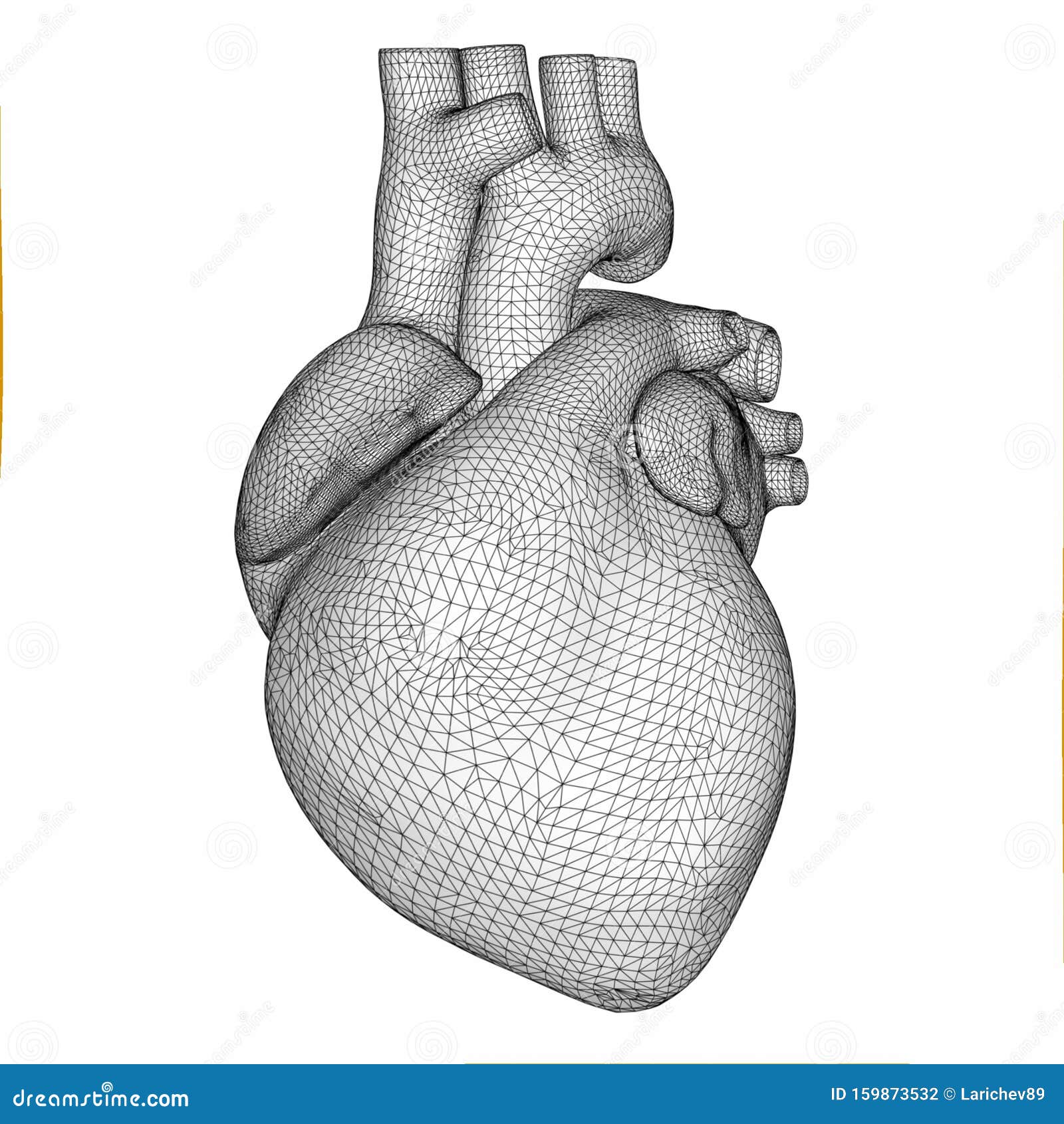 Polygonal Human Heart in Low Poly Polygon Style. Wireframe Concept ...