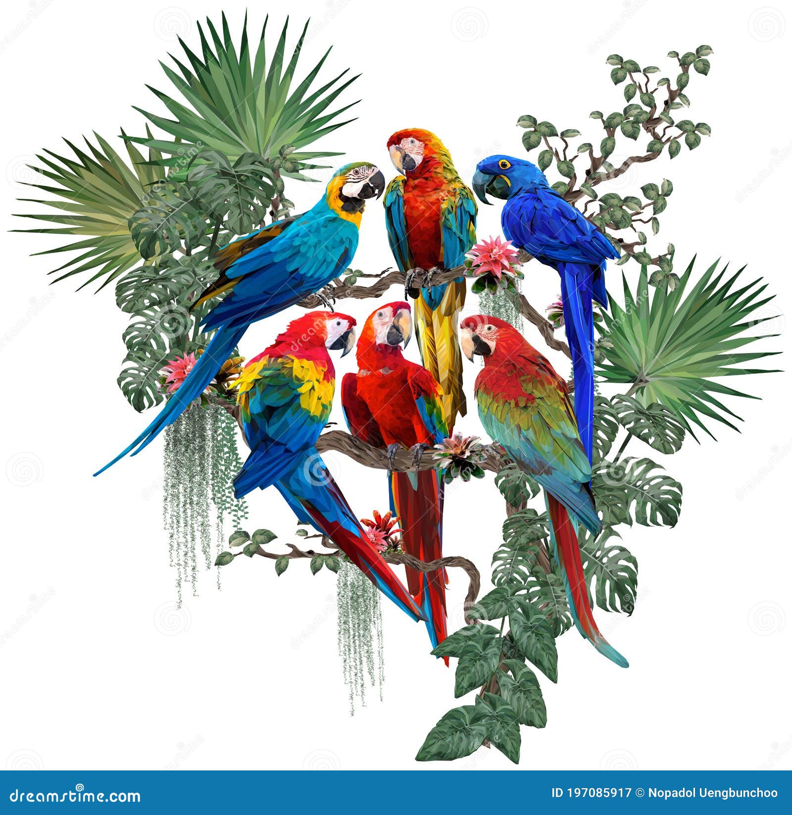 Polygonal Illustration of Macaw Birds Stock Illustration - Illustration ...