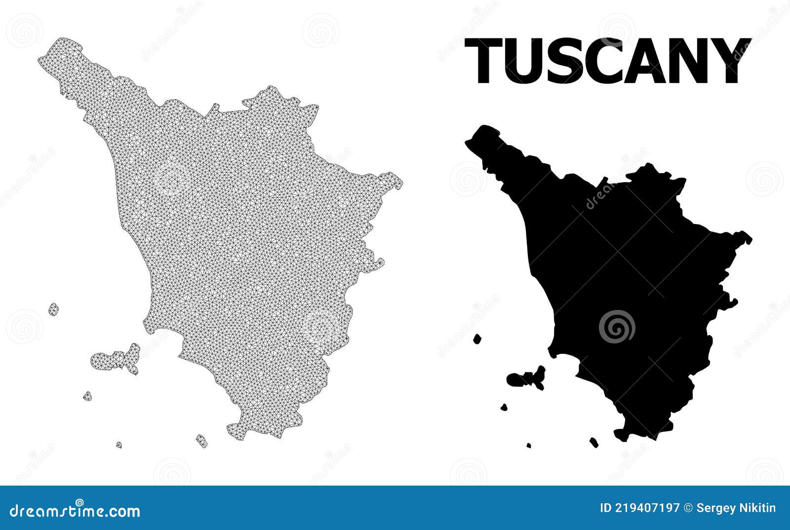 Polygonal Network Mesh High Detail Vector Map of Tuscany Region ...