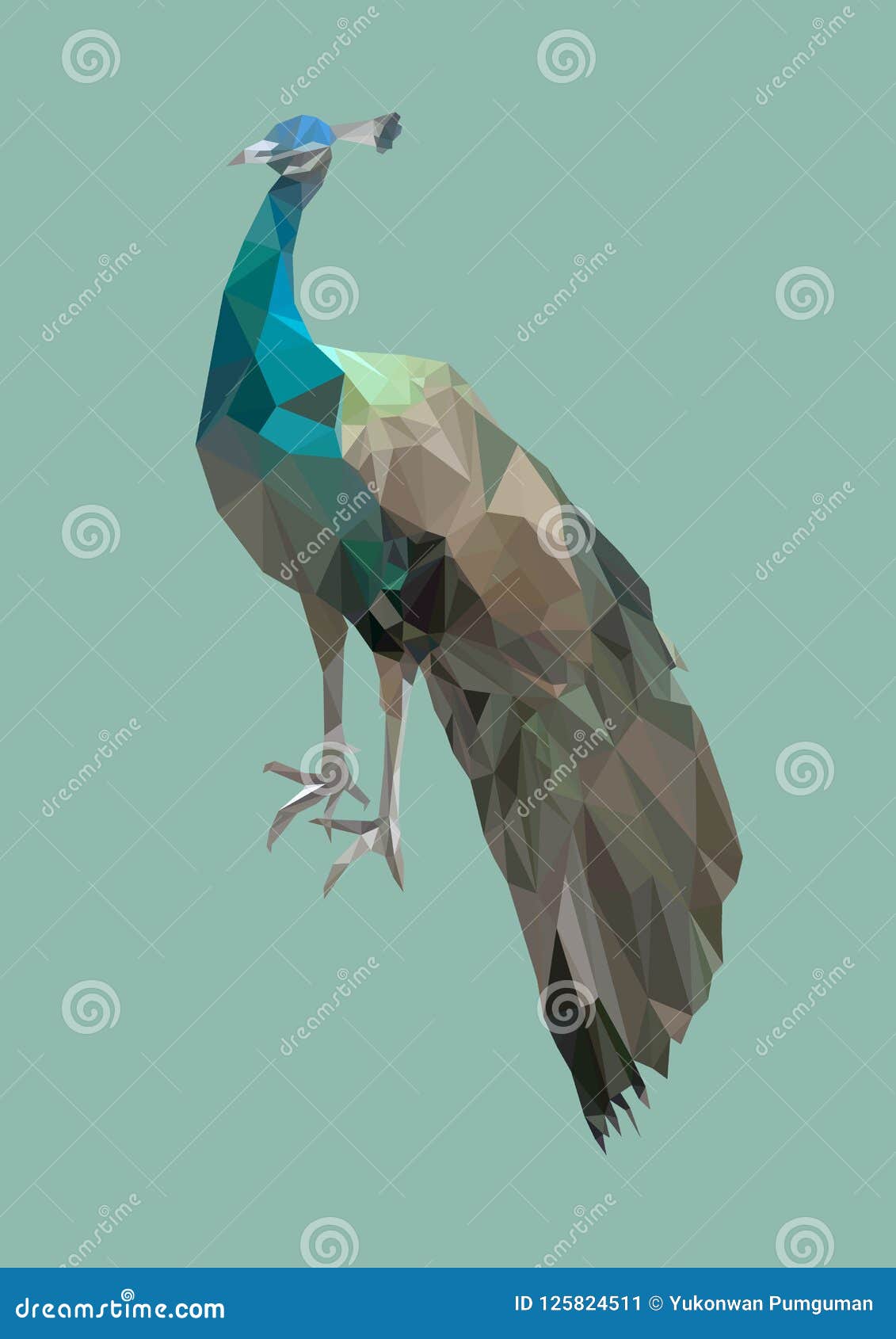 Polygonal Peacock Bird, Poly Low Abstract Animal, Vector Stock Vector ...