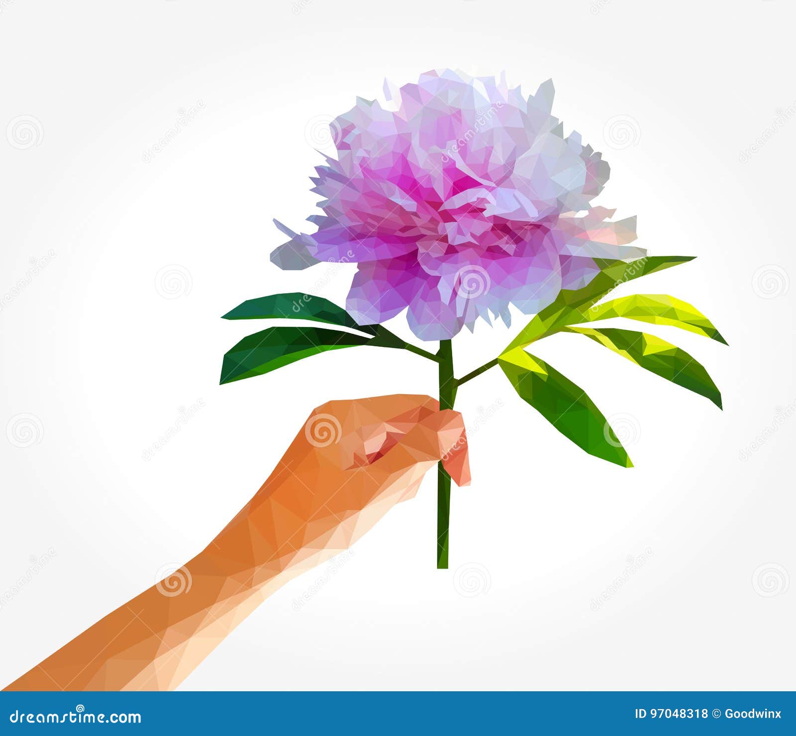 Polygonal Peony Flower in Left Hands Stock Vector - Illustration of ...