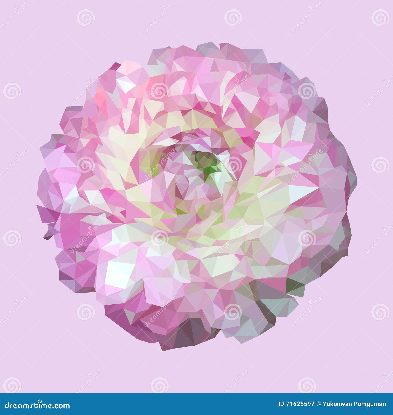 Polygonal Pink Ranungculus, Polygon Triangle Flower Stock Vector ...