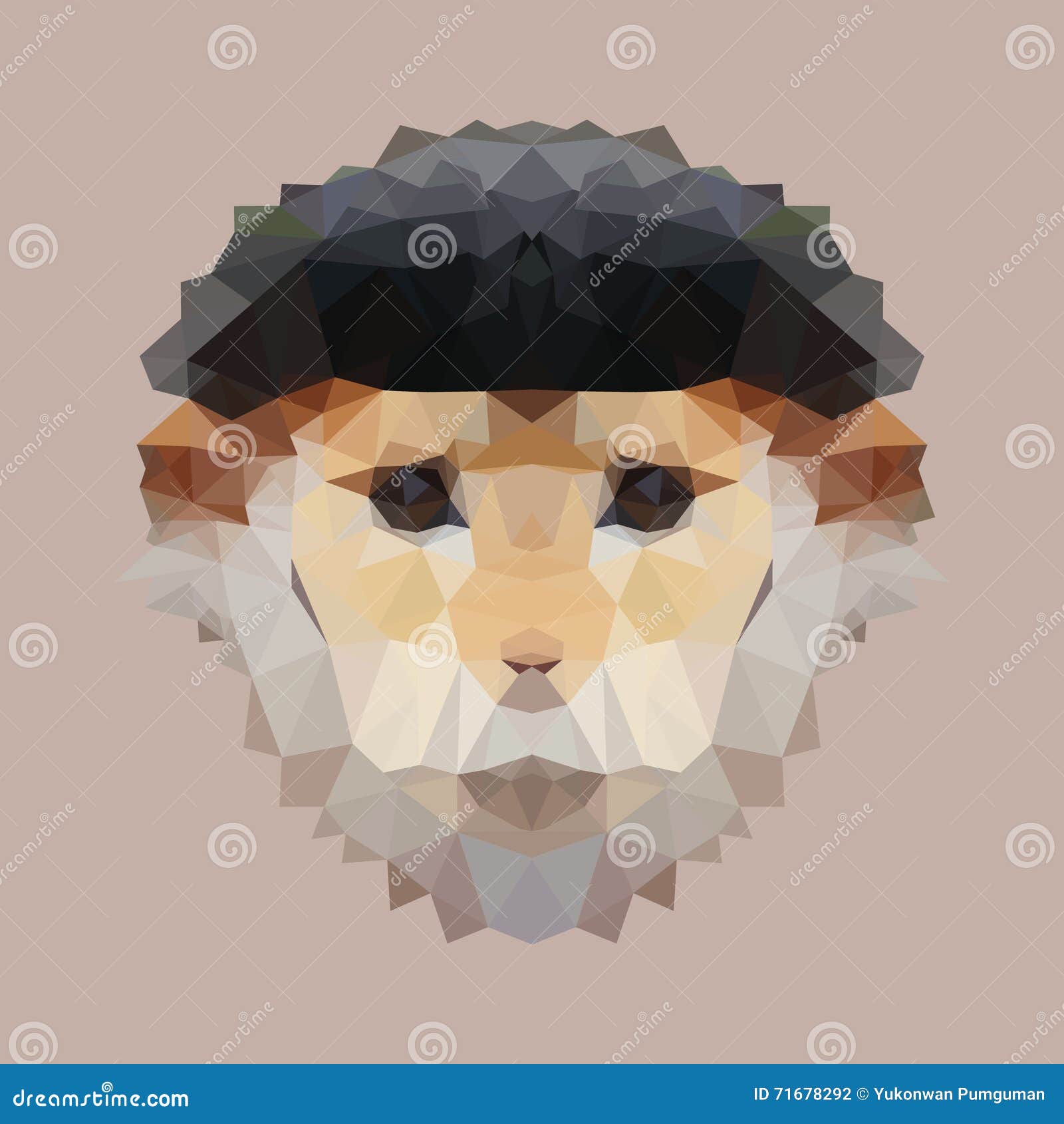 Polygon Head Senegal Bushbaby, Galago Senegalensis. Vector Image ...