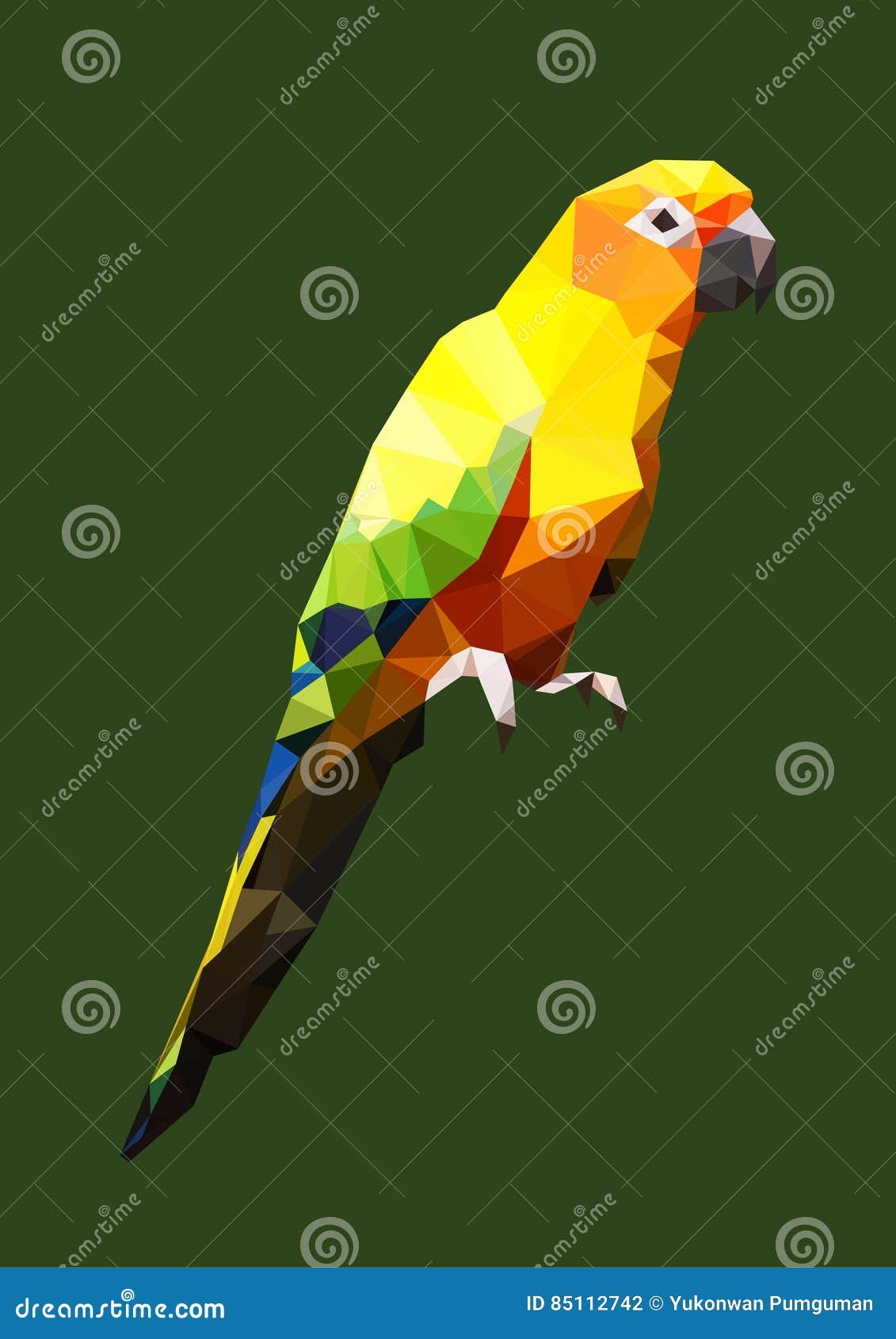 Polygonal Sun Conure Parrot, Polygon Bird Vector Stock Vector ...