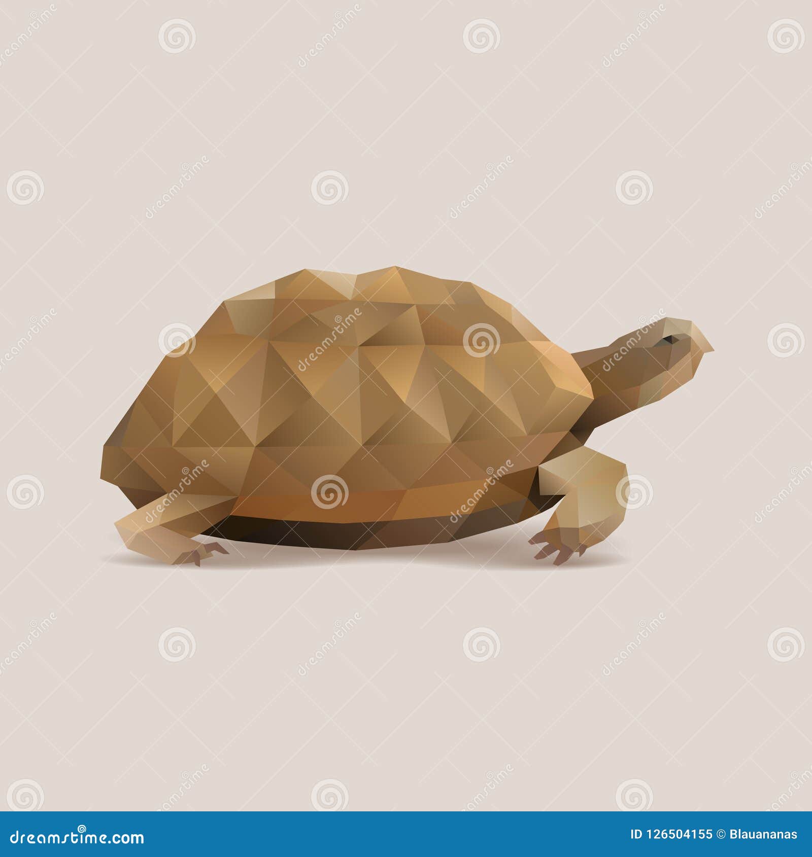 Polygonal Turtle, Tortoise Vector Illustration Stock Vector ...