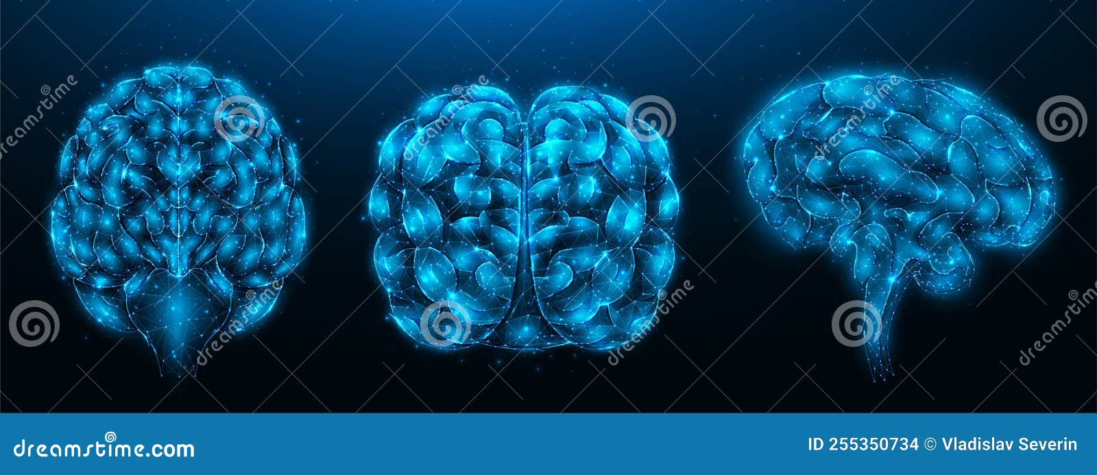 Polygonal Vector Illustration of a Human Brain on a Dark Blue ...