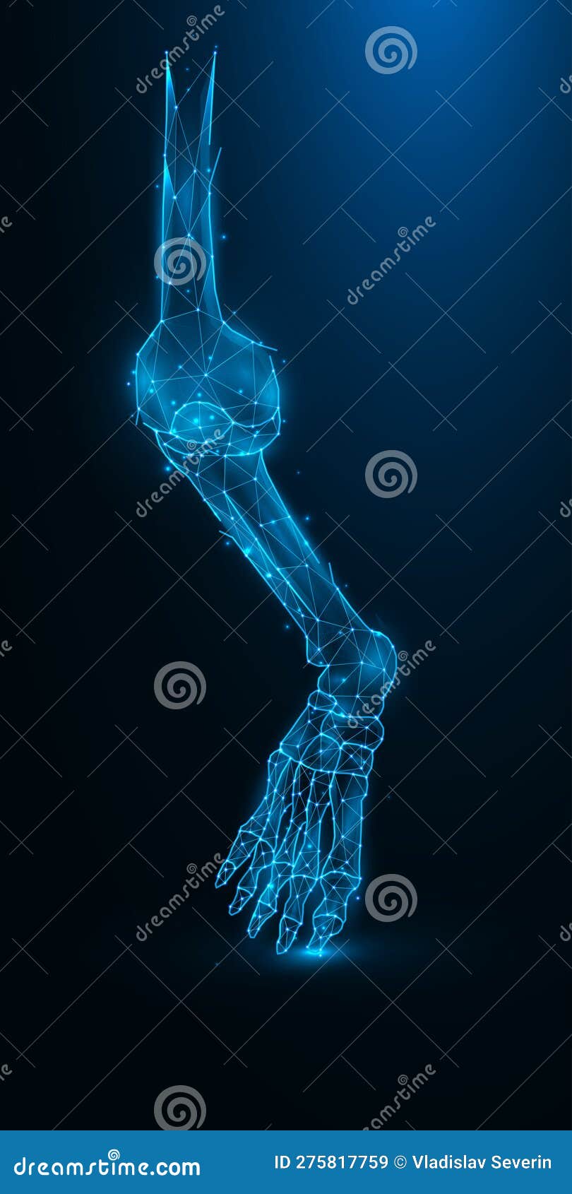 Polygonal Vector Illustration of Leg Bones on a Dark Blue Background ...