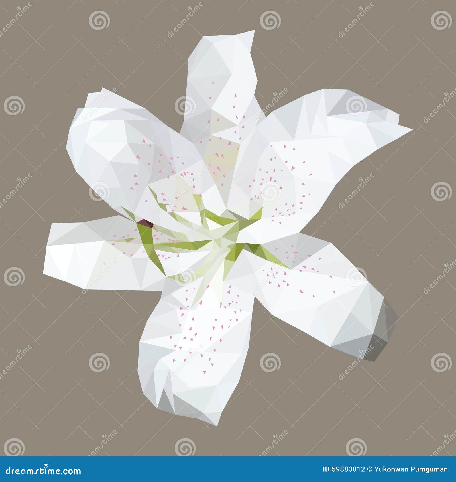 Polygonal White Lily, Polygon Geometric Flower, Vector Stock Vector ...