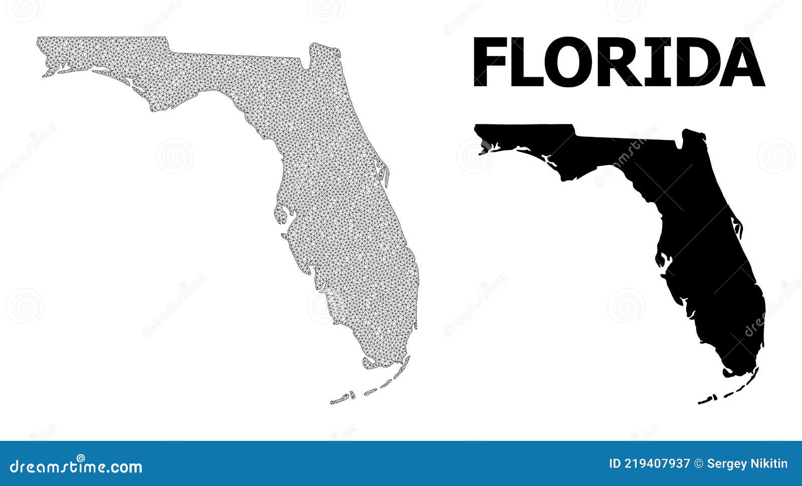 Polygonal Wire Frame Mesh High Detail Vector Map Of Florida State ...