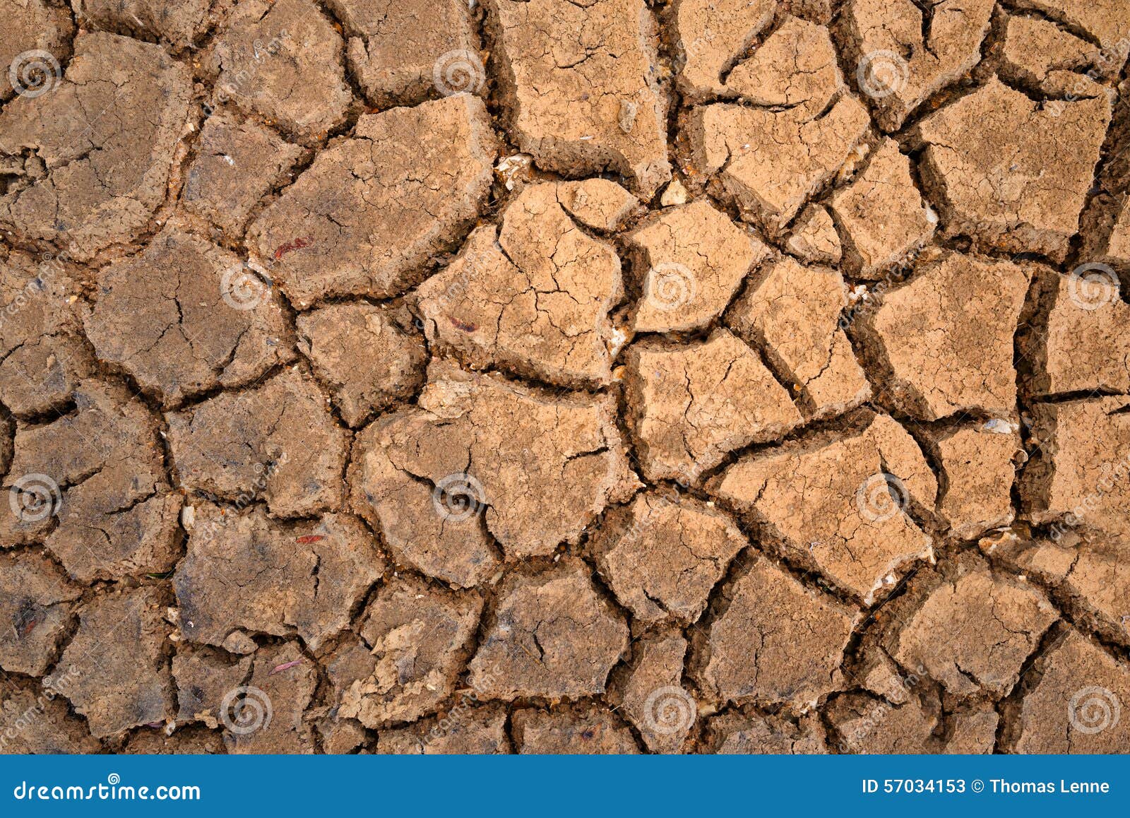 Polygons of Desiccation Caused by Drought Stock Image - Image of ...