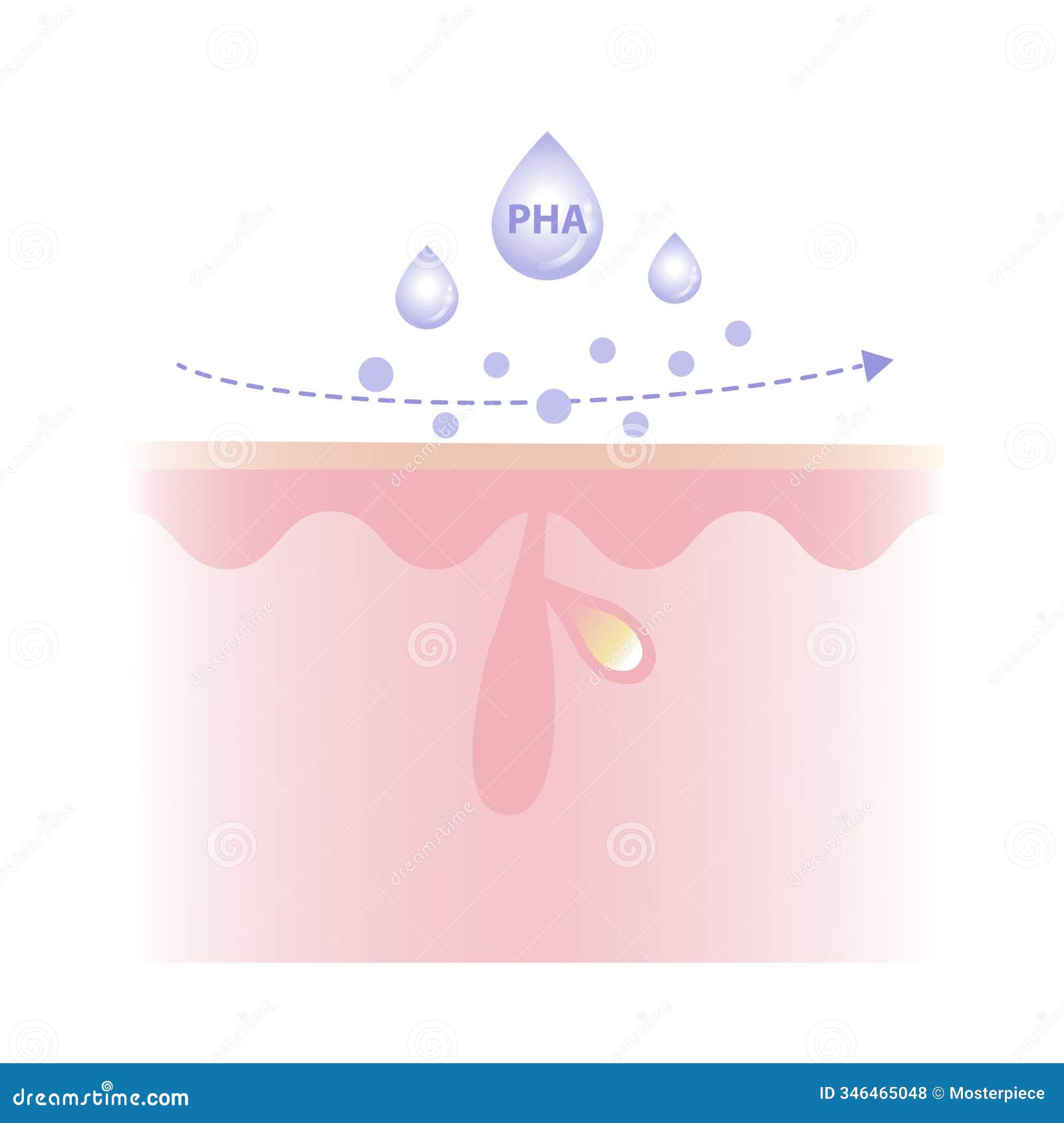 Polyhydroxy Acids Characteristics Vector Illustration Isolated on White ...