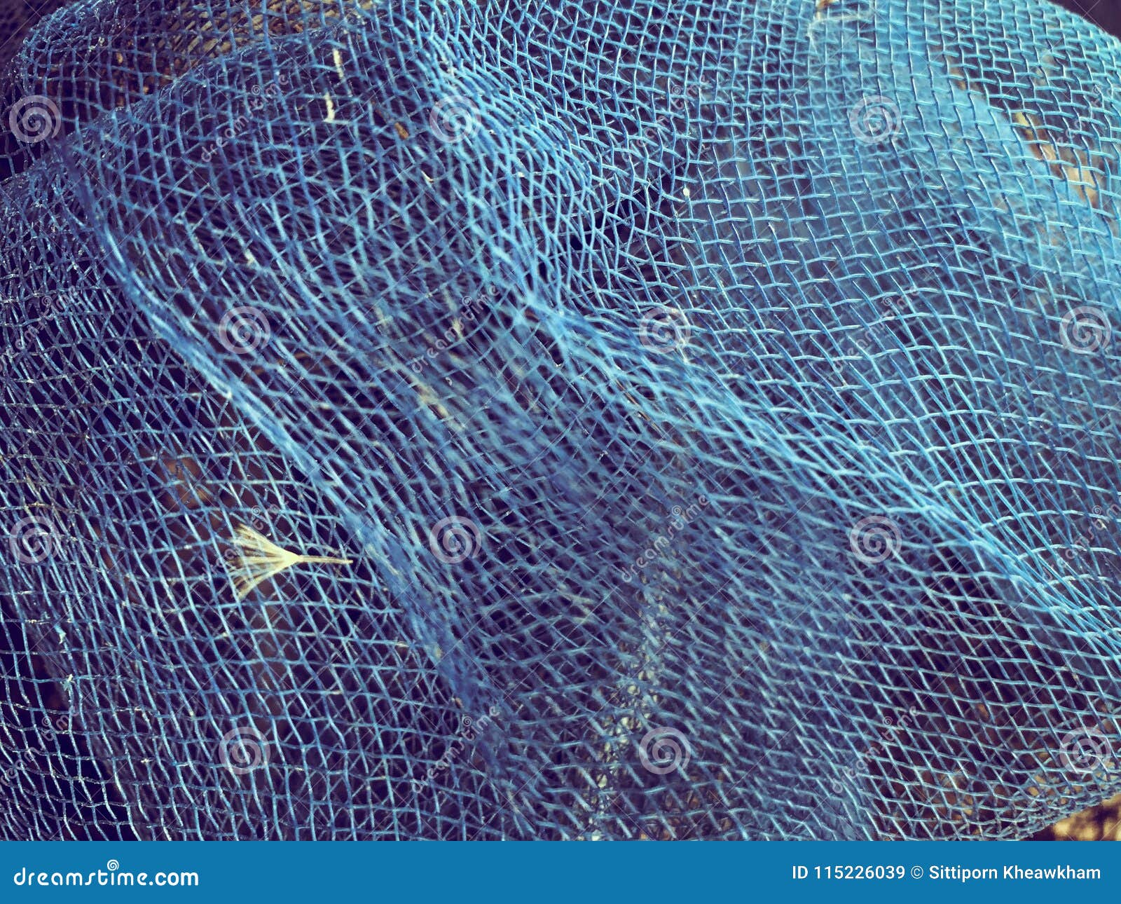 Polymer Blue mesh stock image. Image of abstract, debris - 115226039