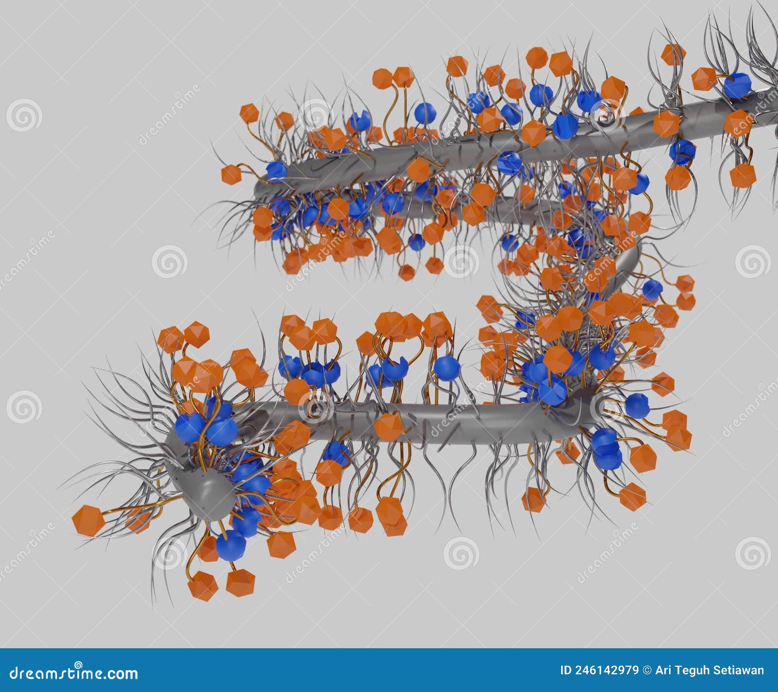 Polymer Drug Conjugate Therapy As Drug Delivery Stock Illustration ...
