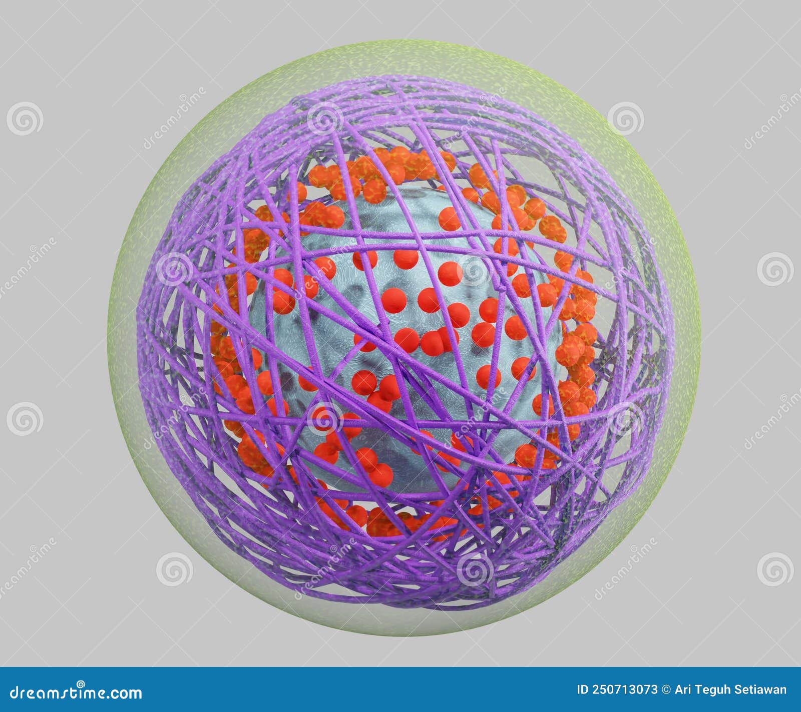 Polymeric Nanoparticle As a Nanocapsule Use As Imaging Agents or for ...